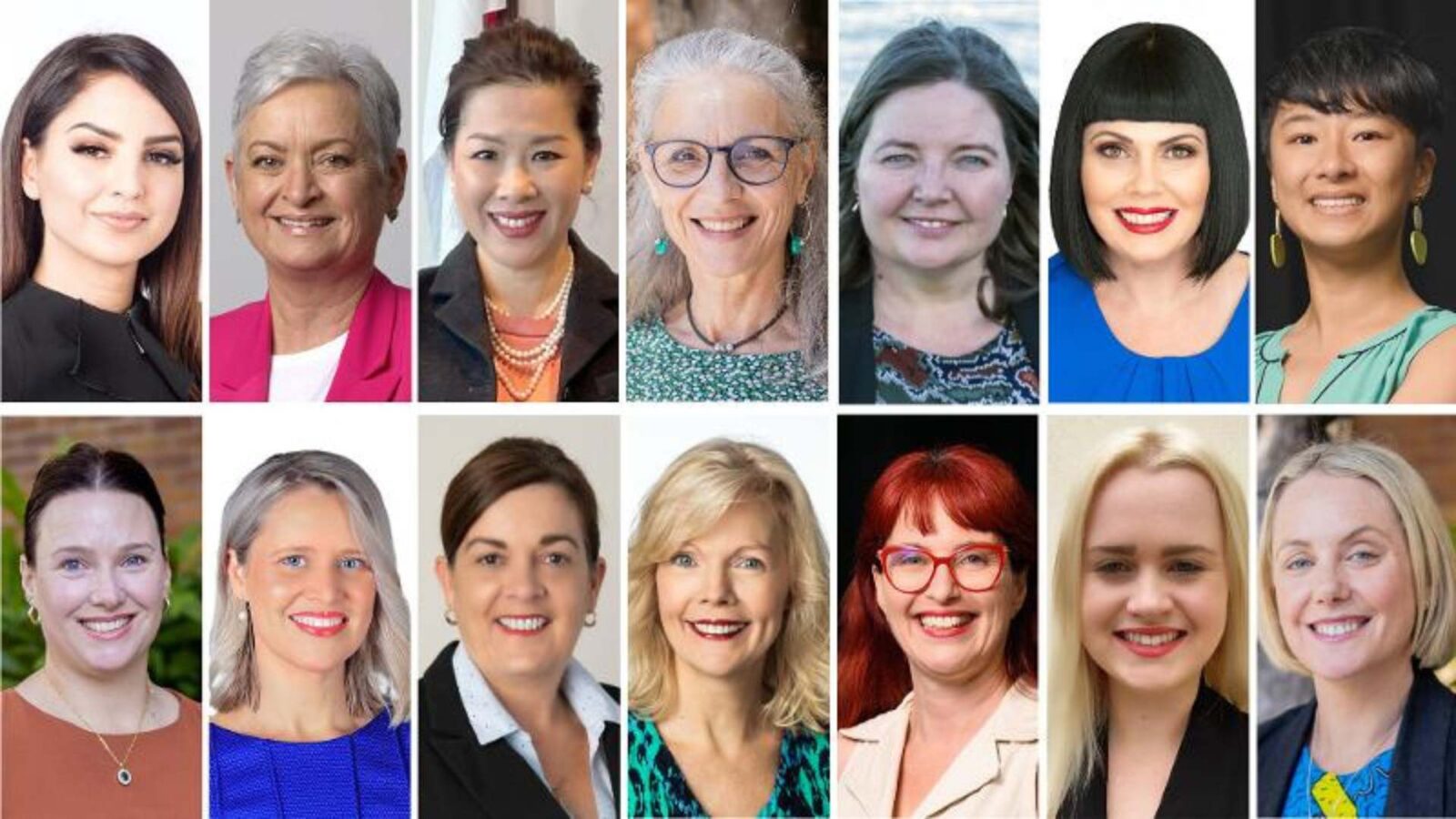 Changing the face of politics - Pathways to Politics